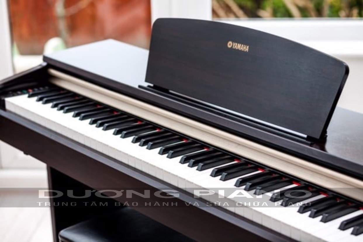 YAMAHA YDP162R | Dương PIANO